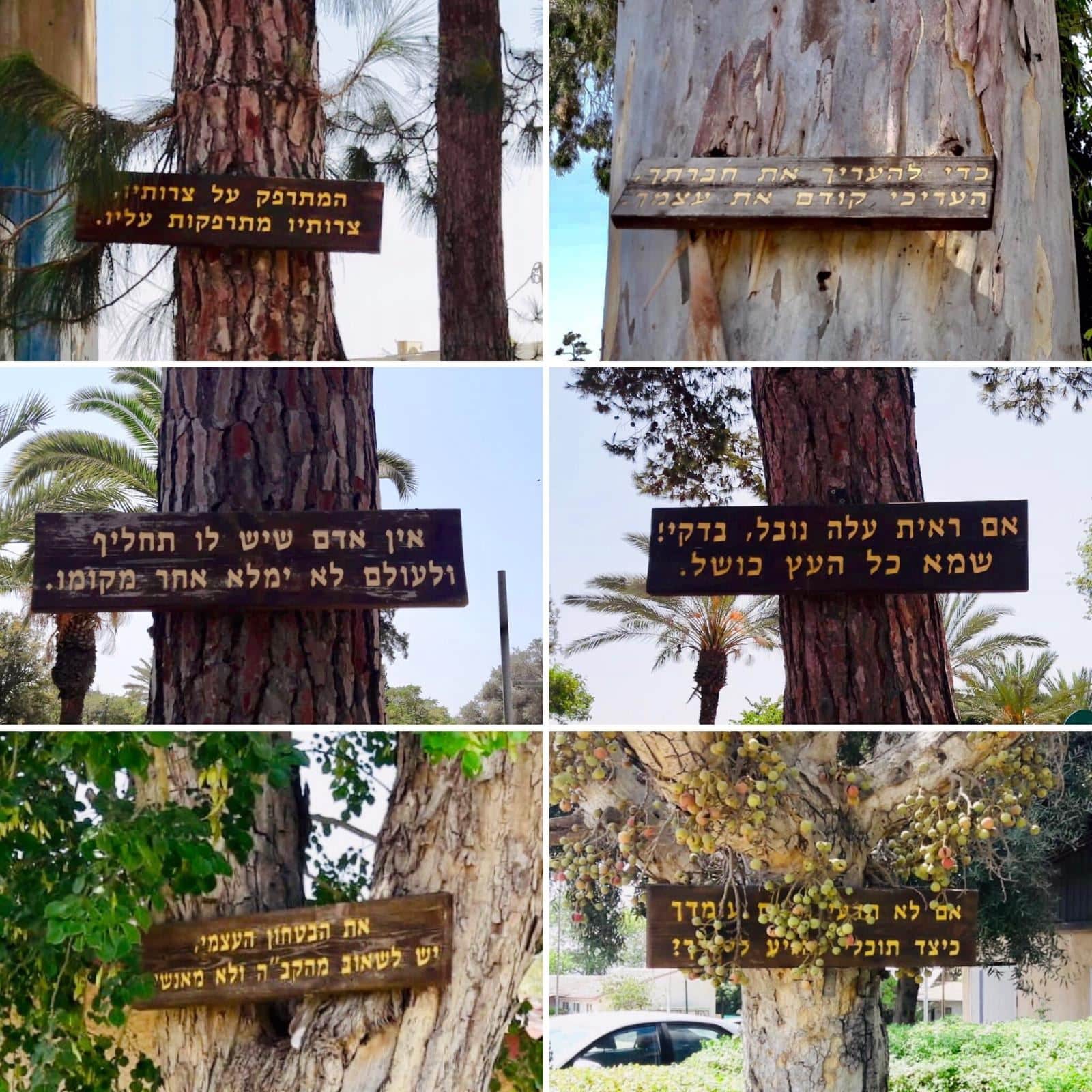 A Different Kind of Advertising Signs ⋆ Sivan Rahav-Meir