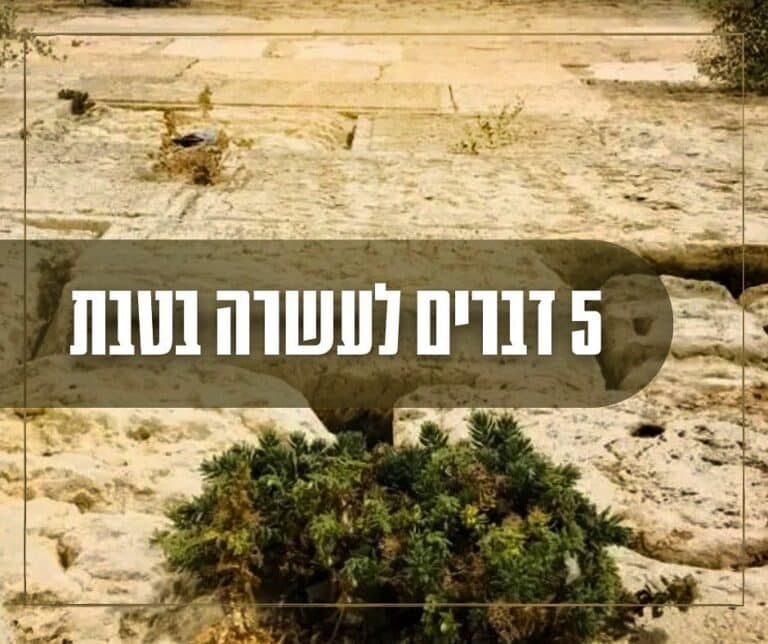 10th of Tevet: 5 facts ⋆ Sivan Rahav-Meir
