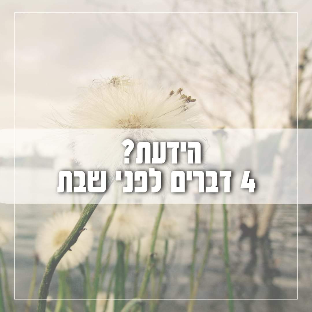 4 elements of this Shabbat and the month of Av ⋆ Sivan Rahav-Meir