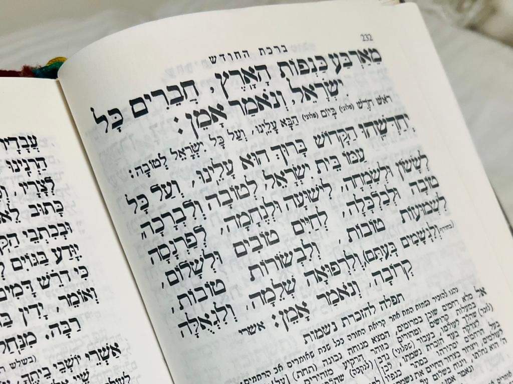 Renew yourself! ⋆ Sivan Rahav-Meir